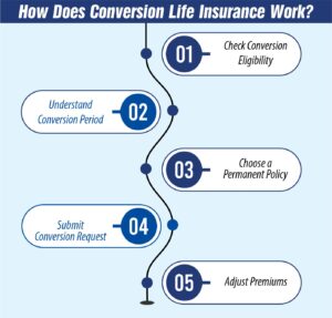 Portability vs Conversion Life Insurance | Key Differences
