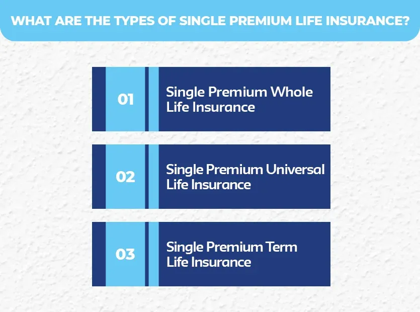 Single Premium Life Insurance: One-Time Payment Policy Guide